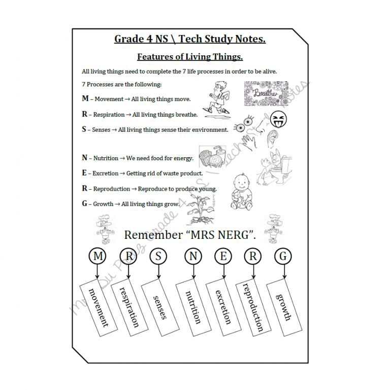 Gr 7 NS Tech Term 1 - Learning with Mrs Du Preez